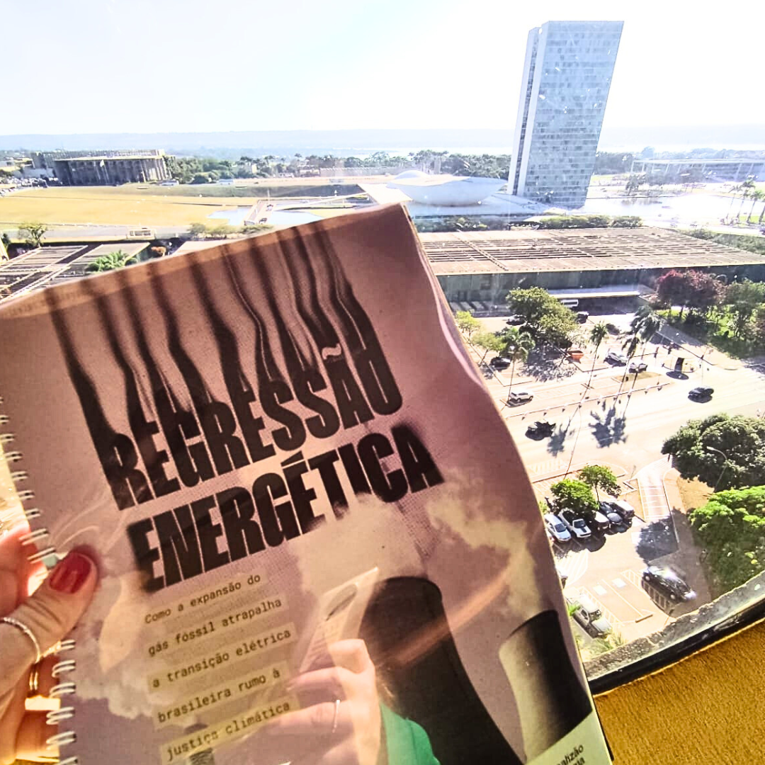 Início - Instituto de Energia e Meio Ambiente (IEMA)